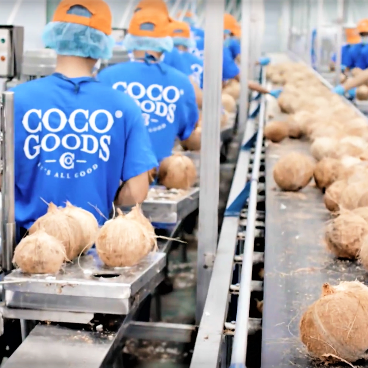 Embrace the Coconut Revolution: Unleashing Unmatched Health Benefits ...