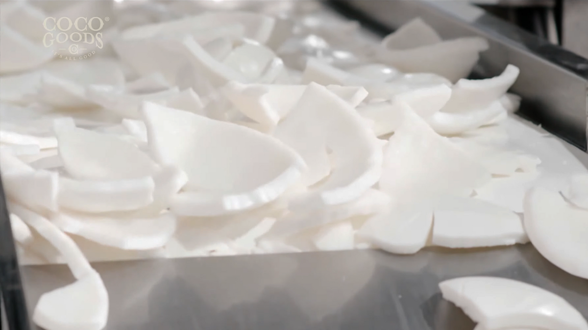 No Cross-Contamination with Other Allergens in Our Coconut Manufacturi ...